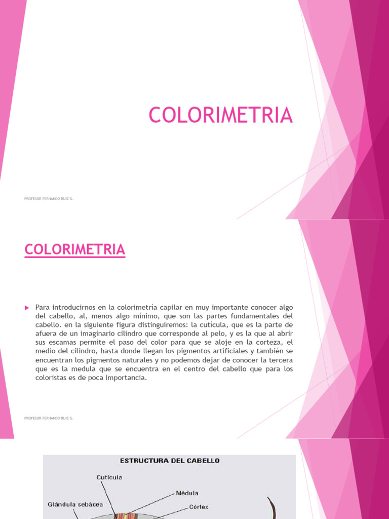 Colorimetria Avanzada | PDF | Pelo | Color