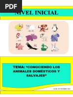 Sesión de Aprendizaje Cuidado de Los Animales | PDF | Aprendizaje | Mascota
