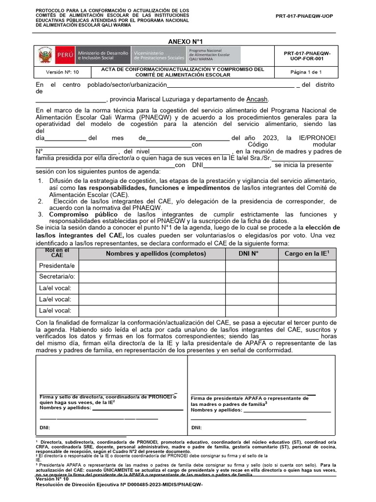 Formatos CAE 2024 - ANEXOS 1 Y 2 | PDF Formatos CAE 2024 - ANEXOS 1 Y 2 | PDF