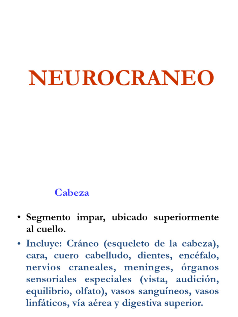 Neurocraneo | PDF