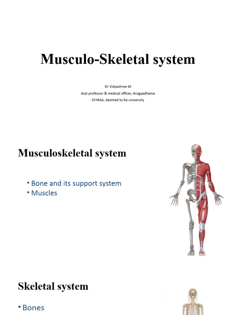 Musculo - Skeletal System | PDF
