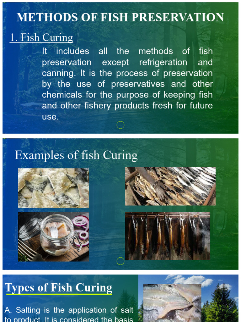 Methods, Tools and Equipments | PDF