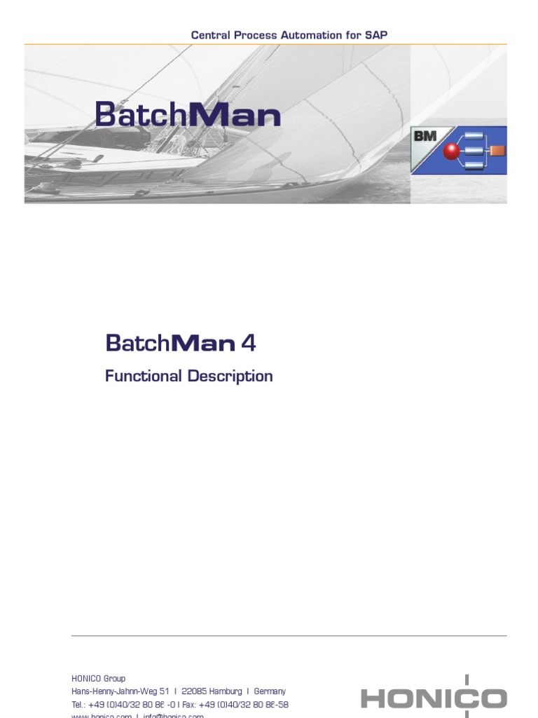 Batch Man - Batch Processing | PDF | Business Process | Sap Se
