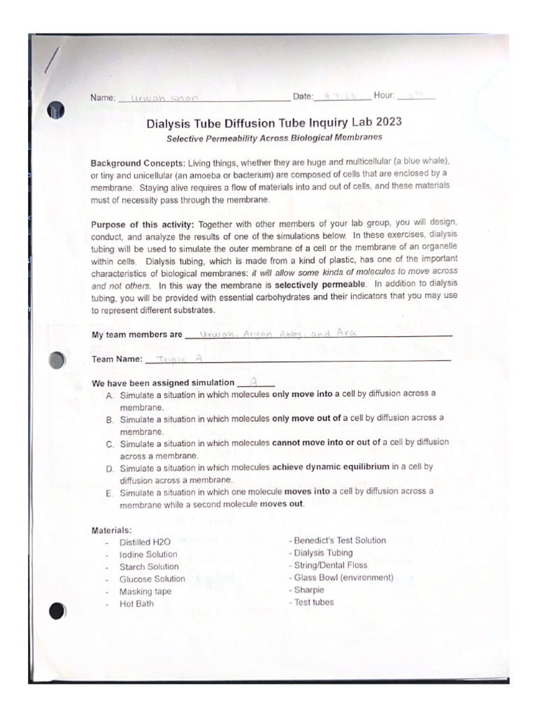 Dialysis Tube Diffusion Tube Inquiry Lab 2023 | PDF