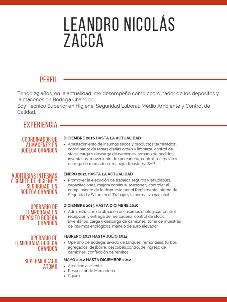 CV Leandro ZACA | PDF