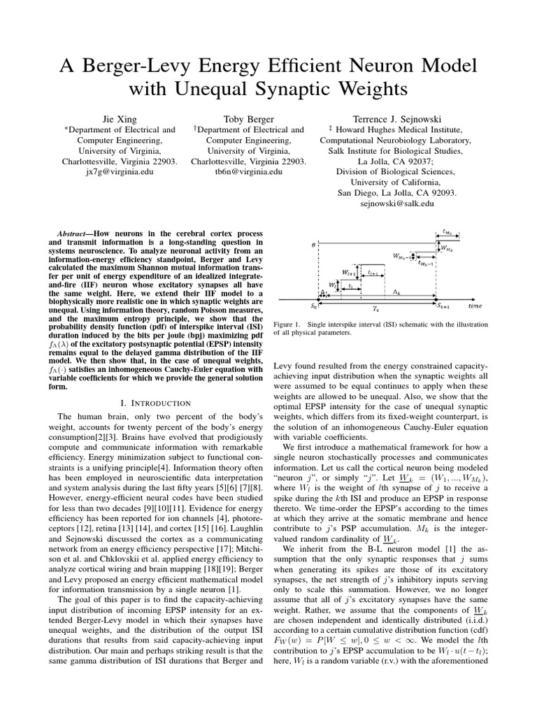A Berger-Levy Energy Efficient Neuron Model With Unequal Synaptic Weights 2012-4315 | PDF ...
