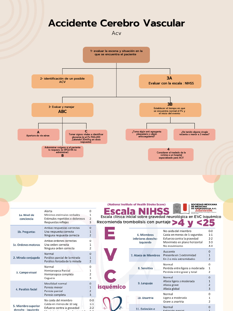 Accidente Cerebro Vascular: 1-Evaluar La Escena y Situación en La Que ...