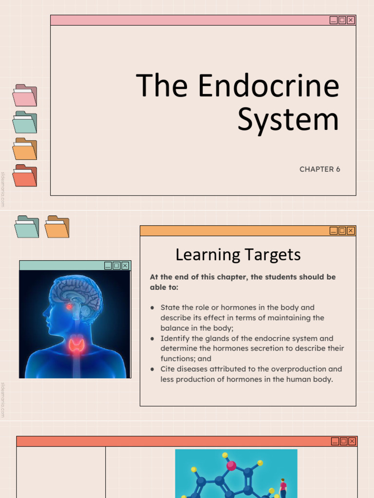 Chapter 6 the Endocrine System | PDF | Hormone | Adrenal Gland