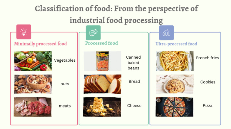 Classification of Food From The Perspective of Industrial Food ...