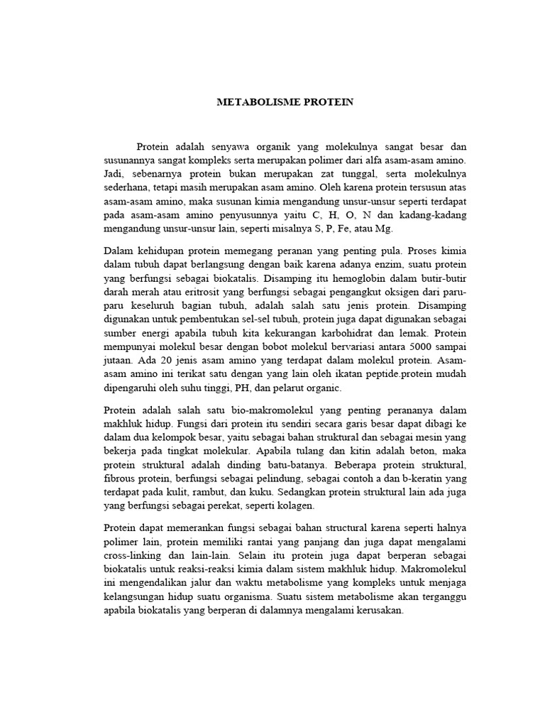 Resum Metabolisme Protein | PDF