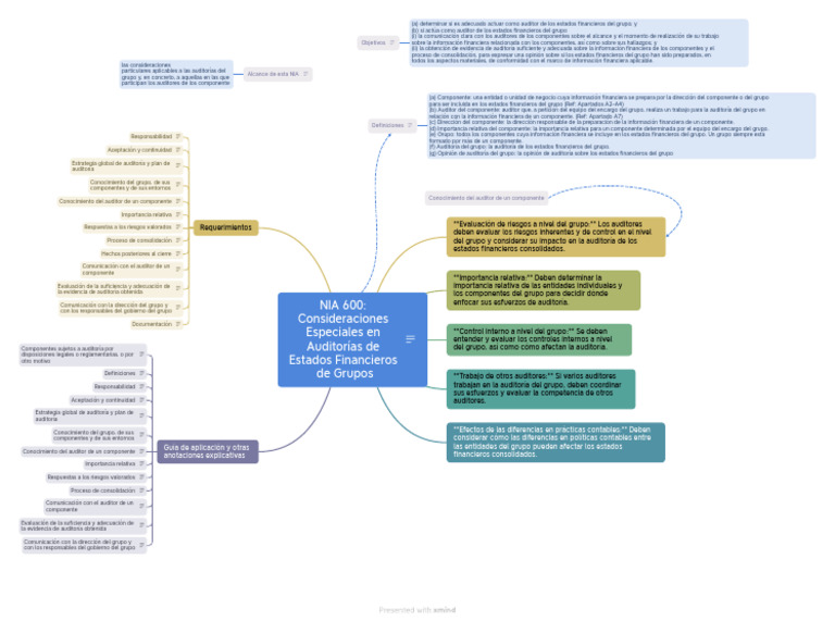 Mapa Conceptual Nia 600 | PDF | Auditoría | Contralor