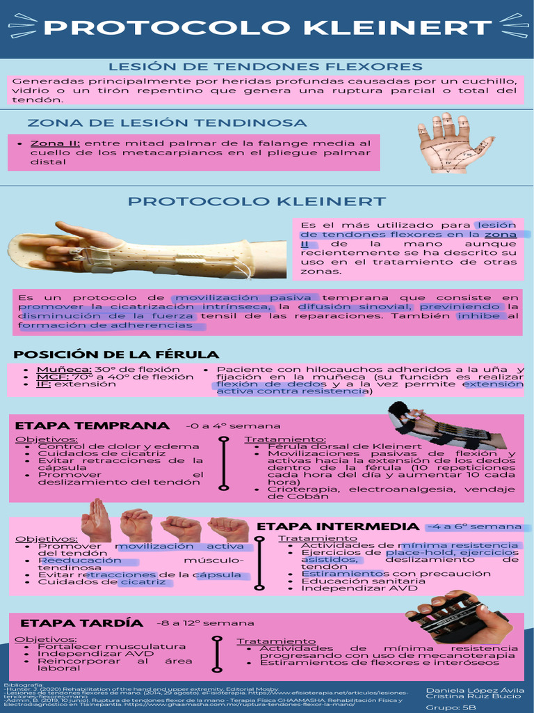 Protocolo Kleinert | PDF | Tendón | Mano