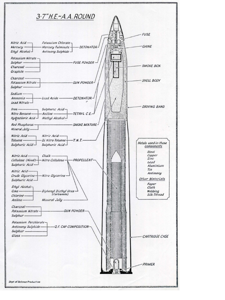 Bullet Anatomy | PDF