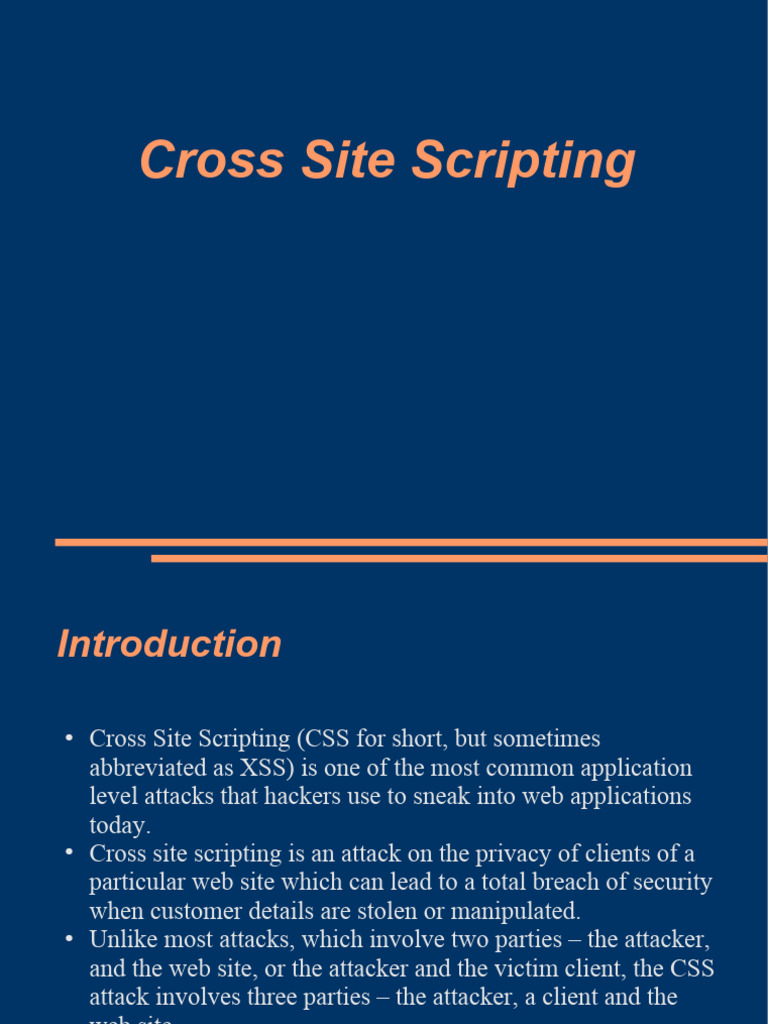 CSS(Cross sitescripting) | PDF | Http Cookie | World Wide Web