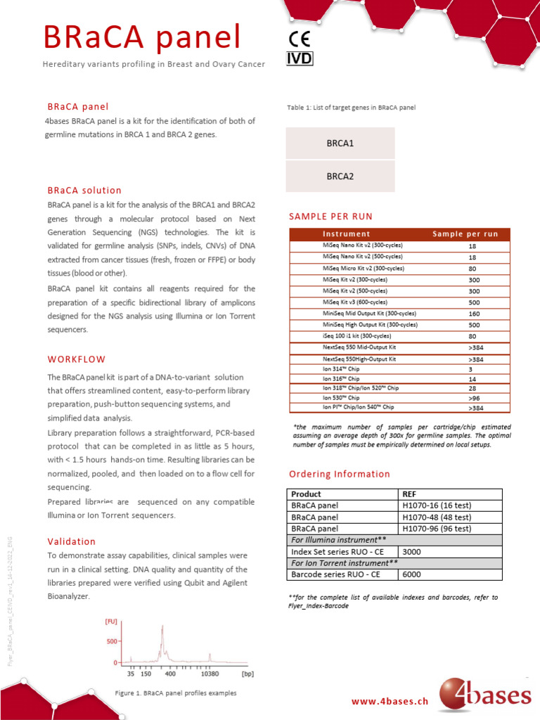 Flyer BRaCA Panel CEIVD Rev1!14!12-2022 ENG | PDF | Dna Sequencing ...
