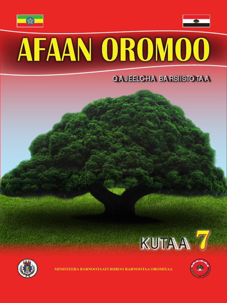 Afaan Oromoo Qajeelcha Barsiistotaa Kutaa 7 9789994425068 | PDF