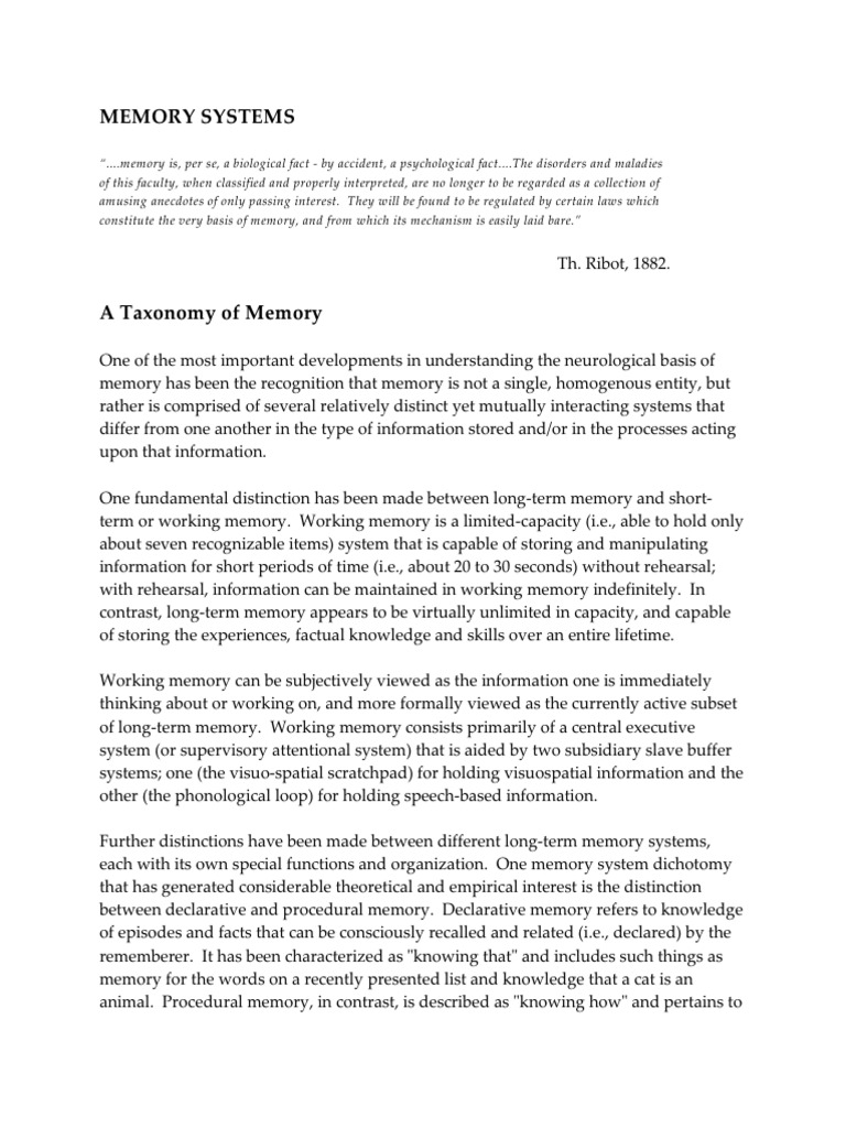 Memory | Download Free PDF | Amnesia | Memory
