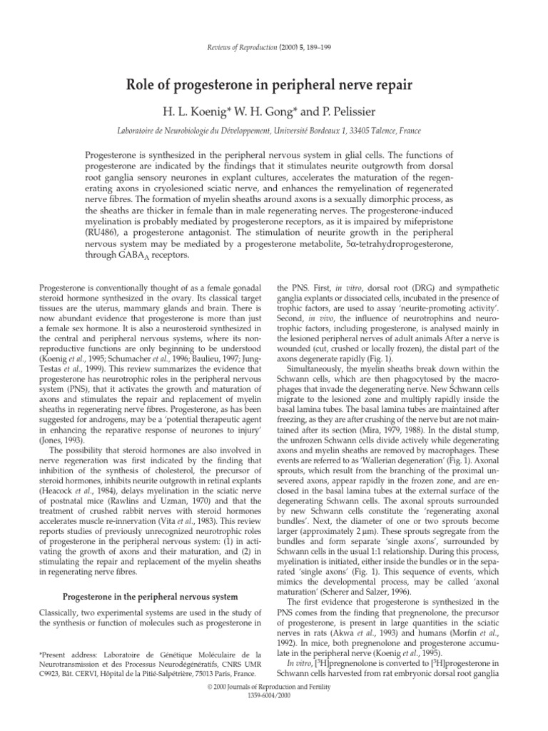 Koenig 2000 | PDF | Axon | Myelin