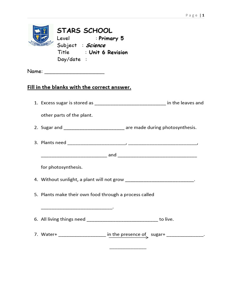 Science P5 Revision Unit 6 | PDF | Photosynthesis | Leaf