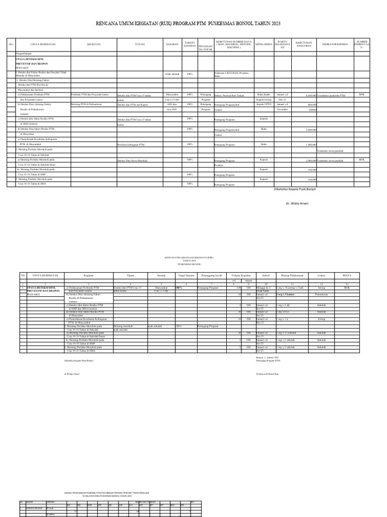 Ruk Dan RPK Program PTM | PDF