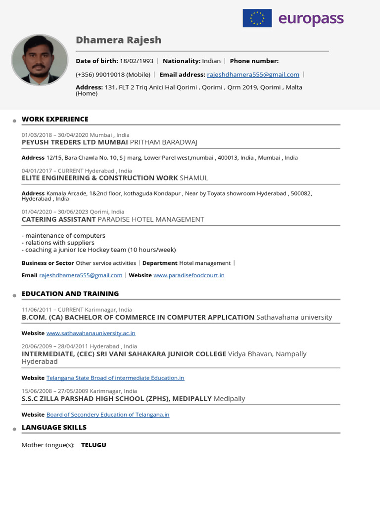 Rajesh Euro pass CV | PDF