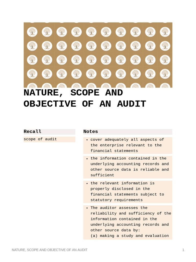 Samaya CA Inter Audit Notes-1 | PDF | Audit | Internal Control