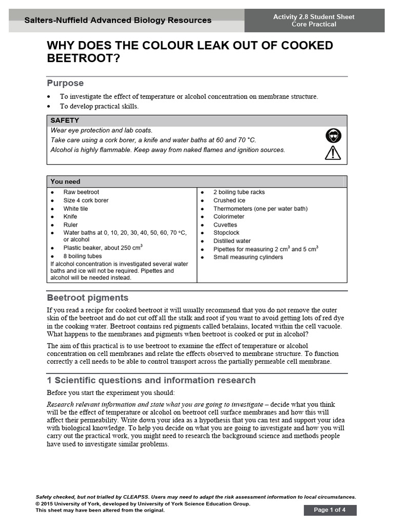 A Level Biology A (SNAB) Core Practical 3 - Beetroot Membane | PDF | Water
