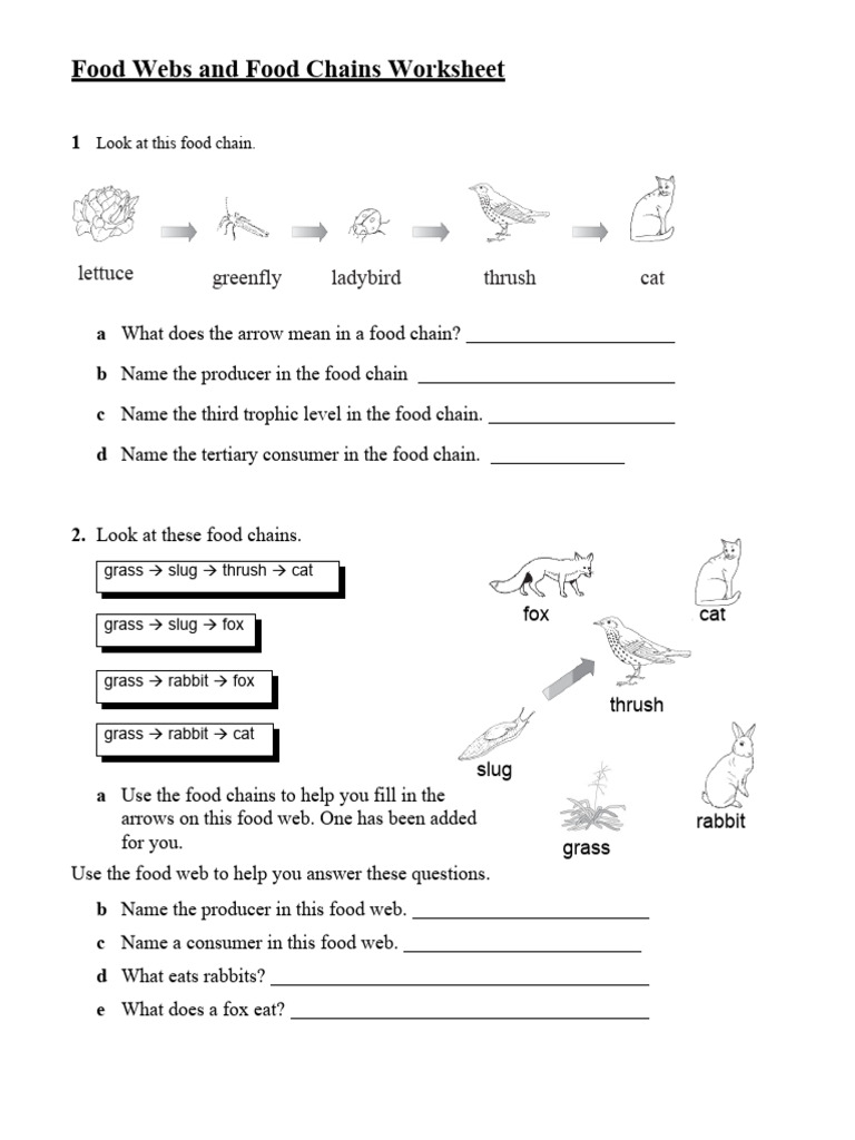 SOAL SD Kelas 3 Rantai Makanan | PDF