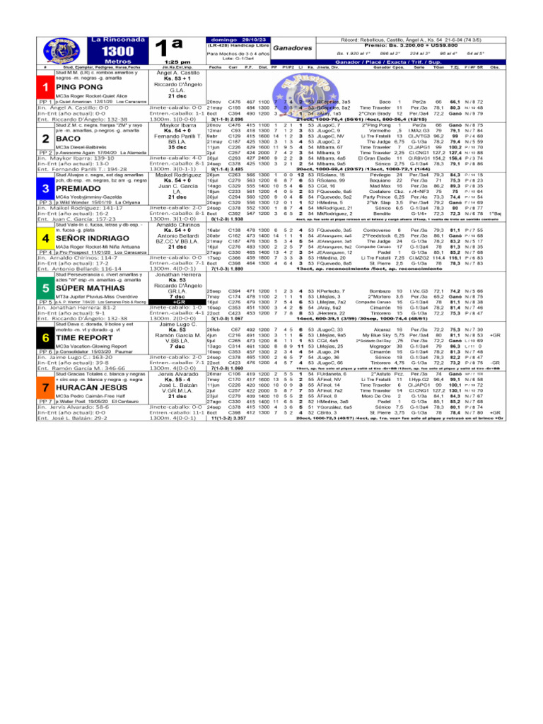 El Fuetazo La Rinconada | PDF | Ciencias sociales | Historia