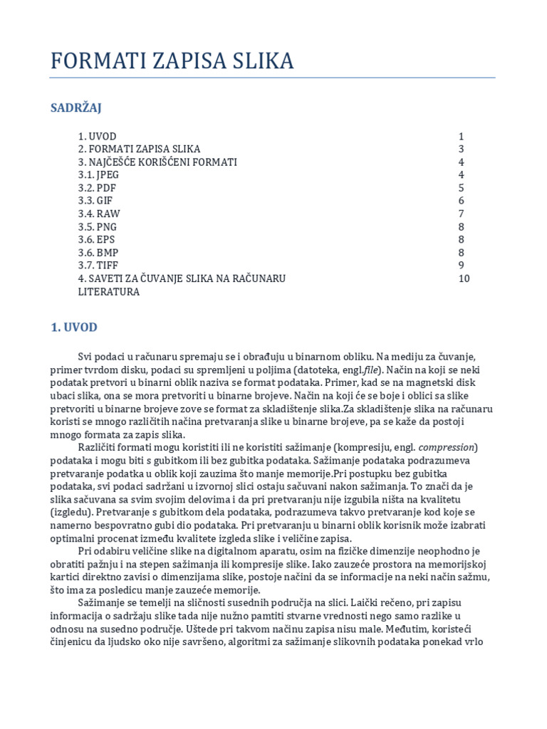 Formati Zapisa Slika | PDF