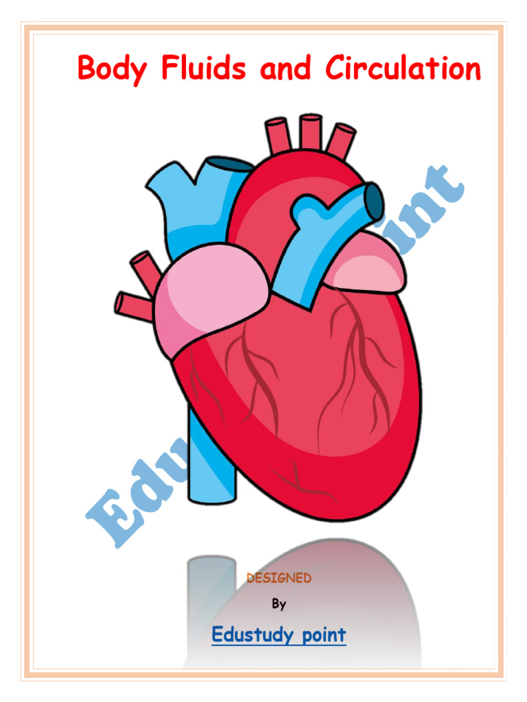 Body Fluids and Circulation Overview | PDF | Heart | Atrium (Heart)