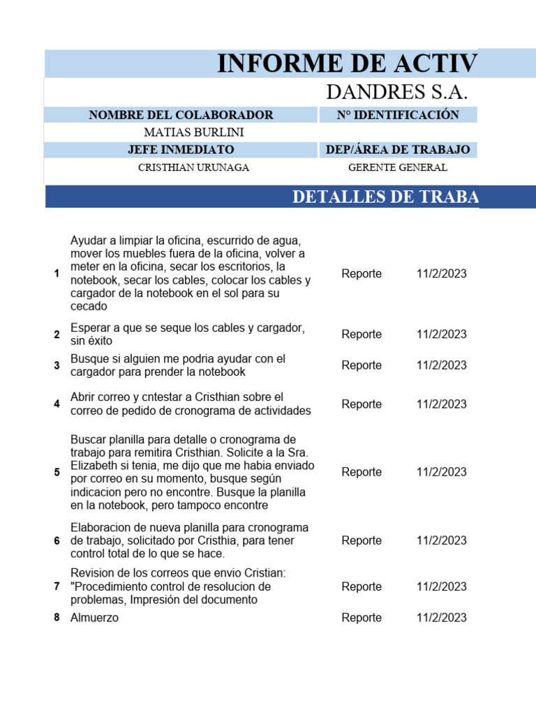 Informe de Actividades Diaria | PDF