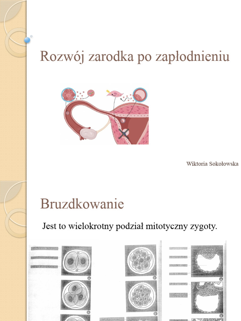 Bruzdkowanie Itd | PDF