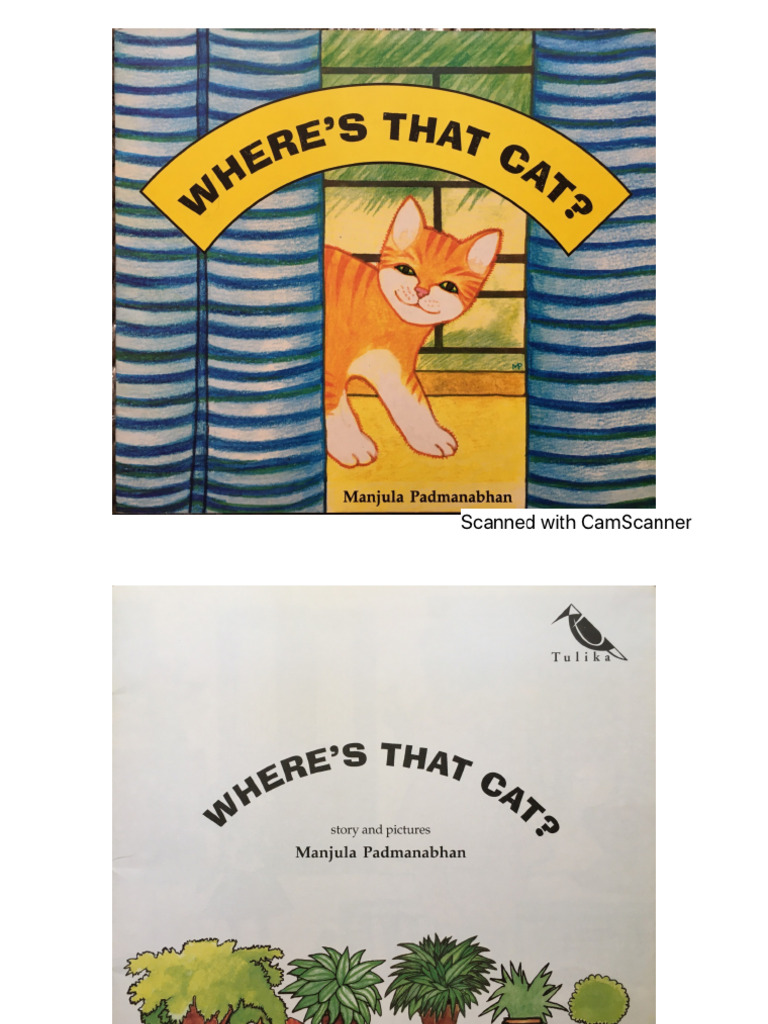 Where Is My Cat PDF | PDF