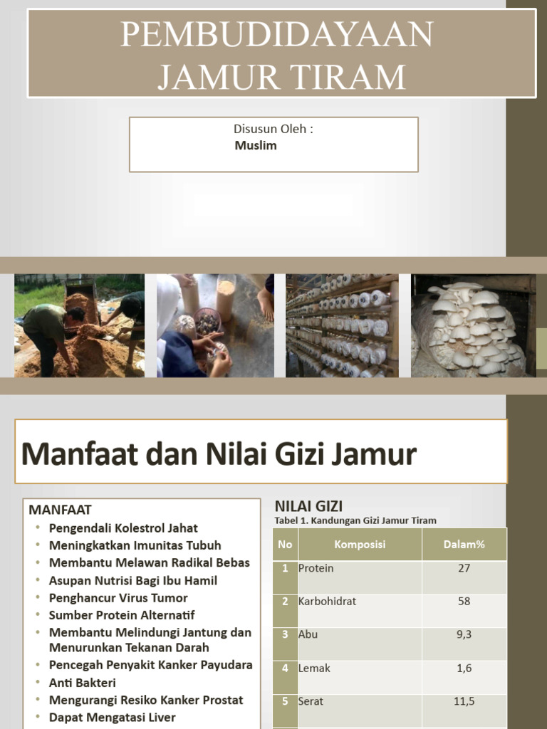 Budidaya Jamur | PDF | Kesehatan Holistik