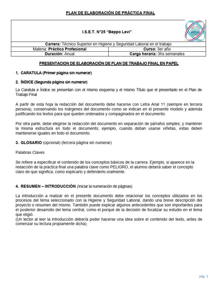 Plan de Práctica Profesional | PDF | Seguridad y salud ocupacional | Derecho laboral
