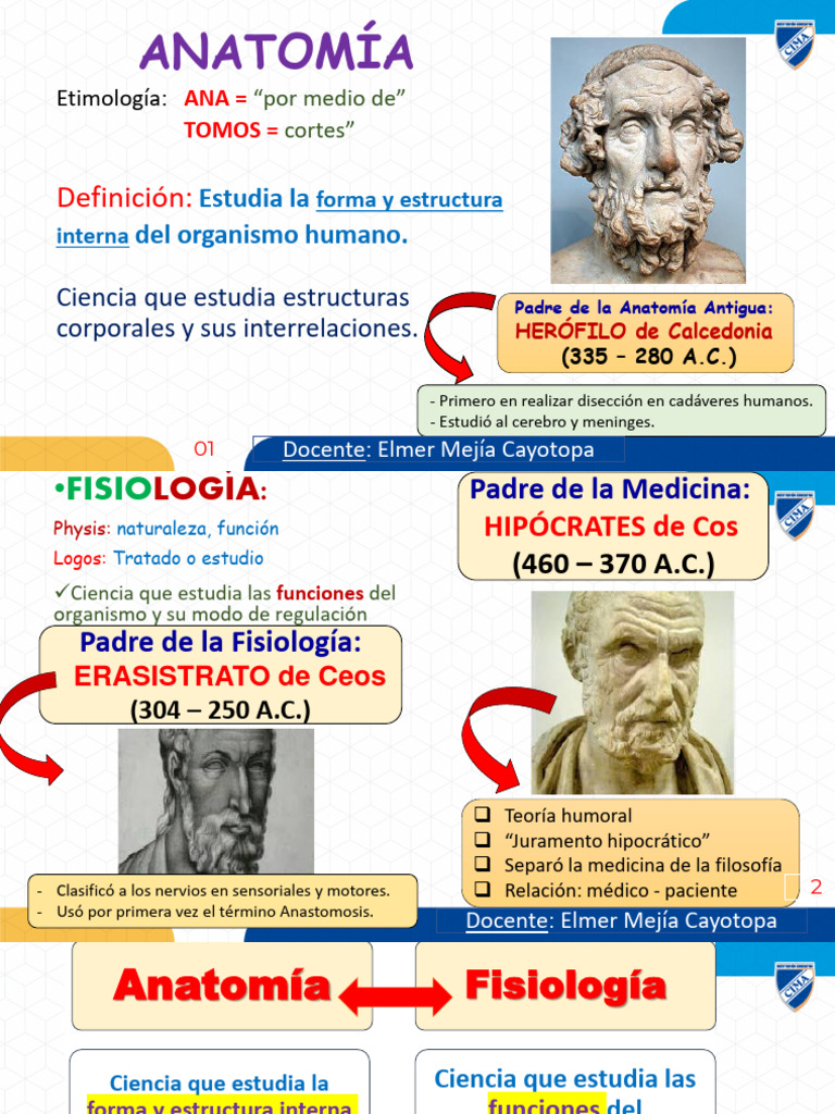 Erasístrato y la Anatomía Antigua | PDF | Medicina | Morfología (biología)