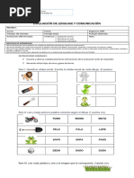 Prueba de Lenguaje M L P S D T Primero Basico | PDF