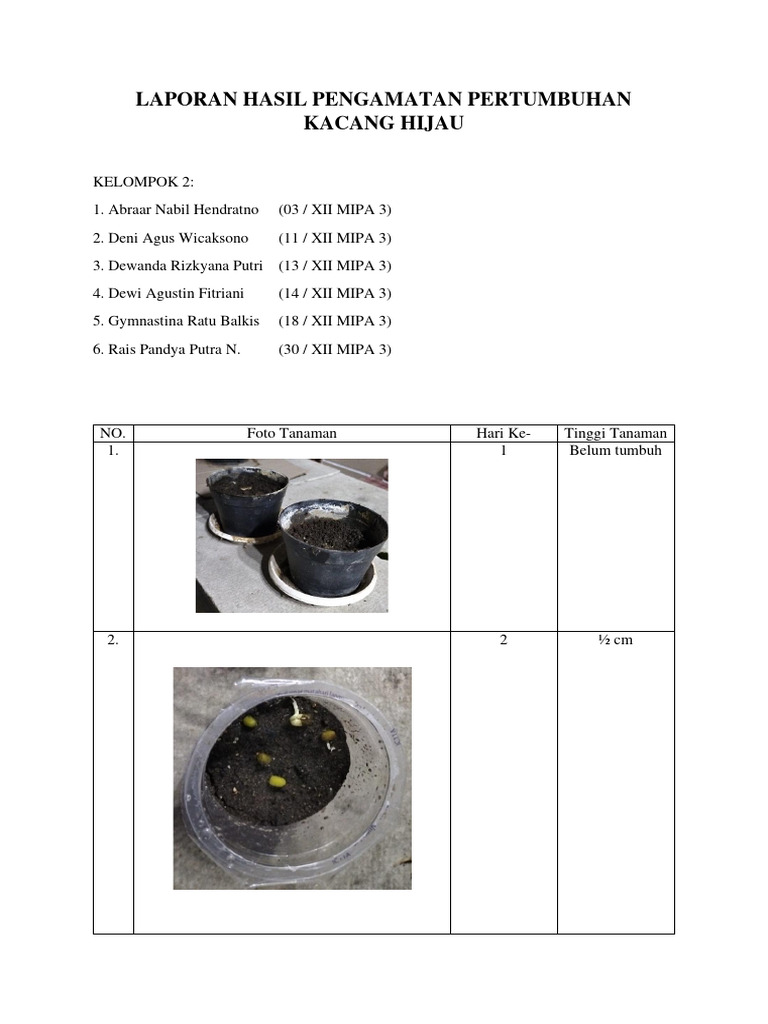 Laporan Hasil Pengamatan Pertumbuhan Kacang Hijau | PDF