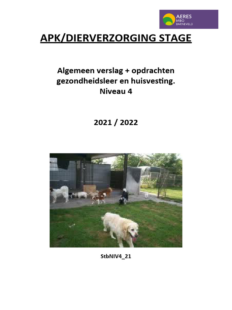 Stage Verslag APK 2022 | PDF