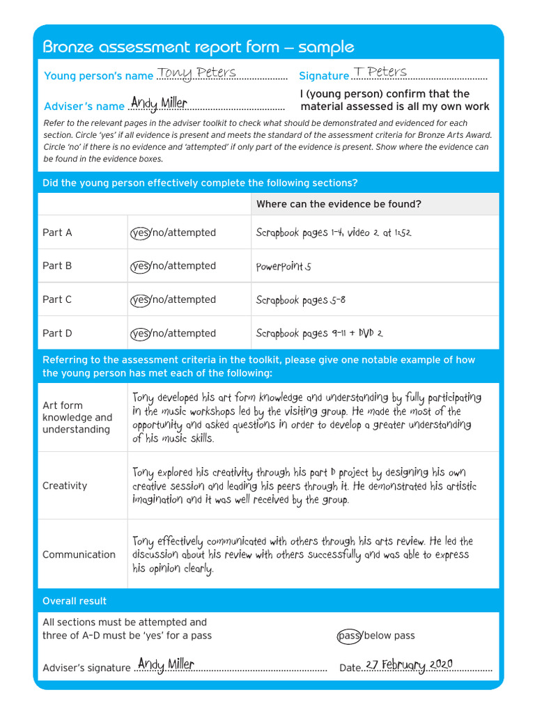 Bronze Assessment Report Form - Sample | PDF | Creativity | Human Communication