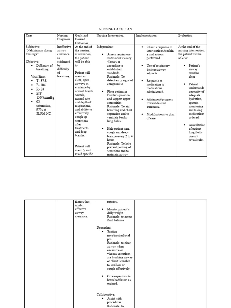 Pulmo Nursing Care Plan | PDF | Respiratory Tract | Breathing