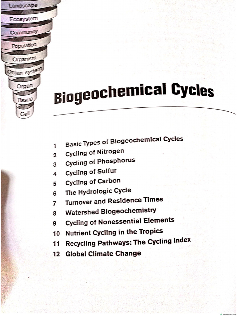 Biogeochemical Cycles | PDF