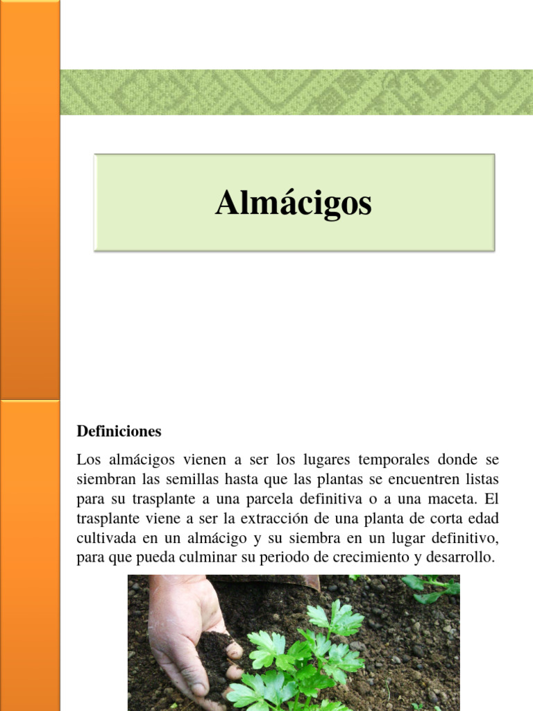 Guía Práctica sobre Almácigos | PDF | Siembra | Horticultura
