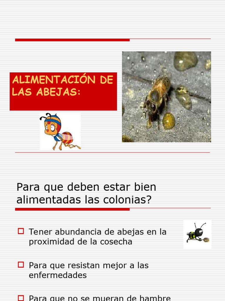 Alimentacion de Las Abejas | PDF