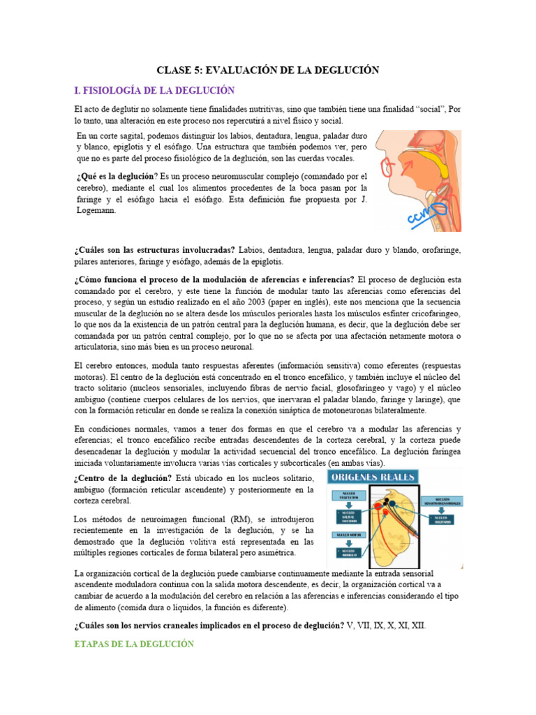 Evaluación y Fisiología de la Deglución | PDF | Relaciones personales ...