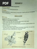 Biology Practical File | PDF | Teaching Methods & Materials | Science ...