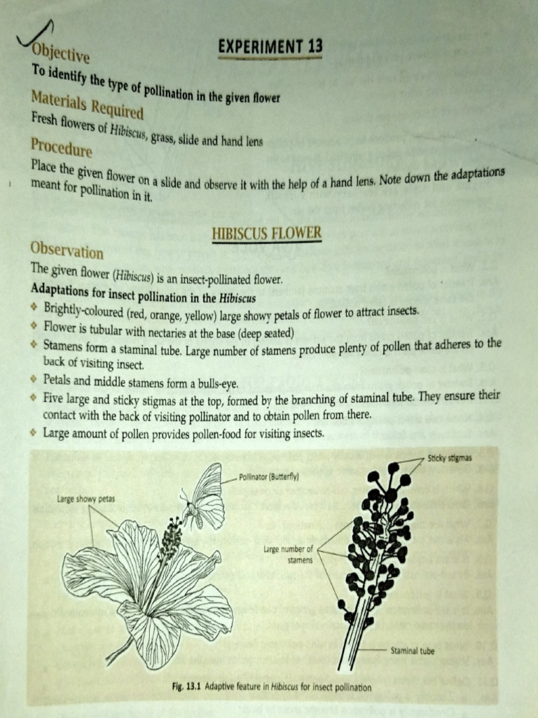 1 Pollination Pdf