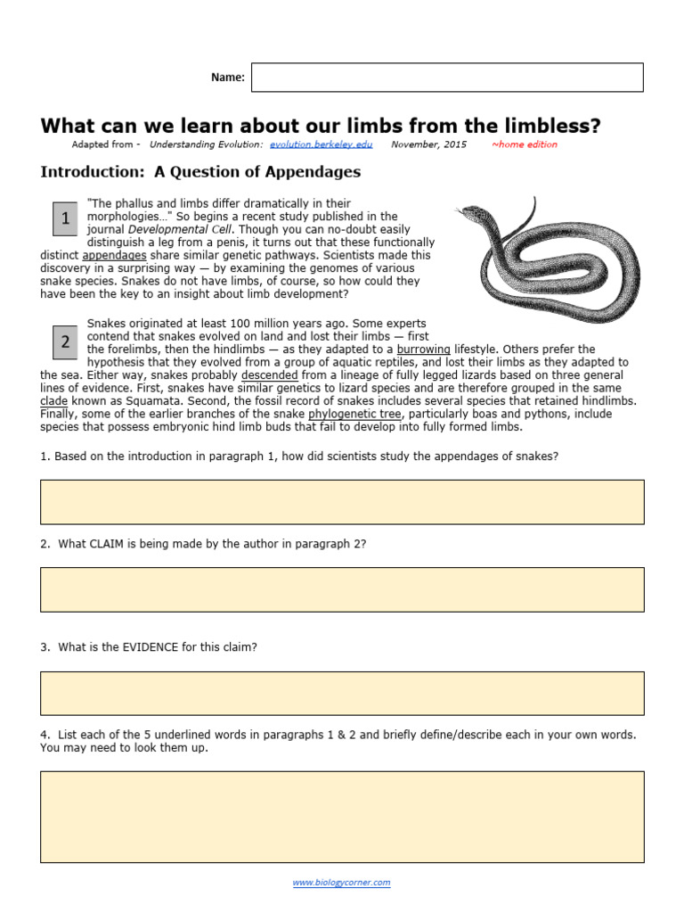 What Can We Learn About Our Limbs (Home Edition) | PDF | Gene | Snake