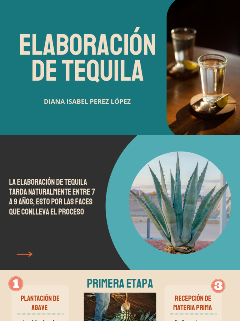 Elaboración de tequila | PDF